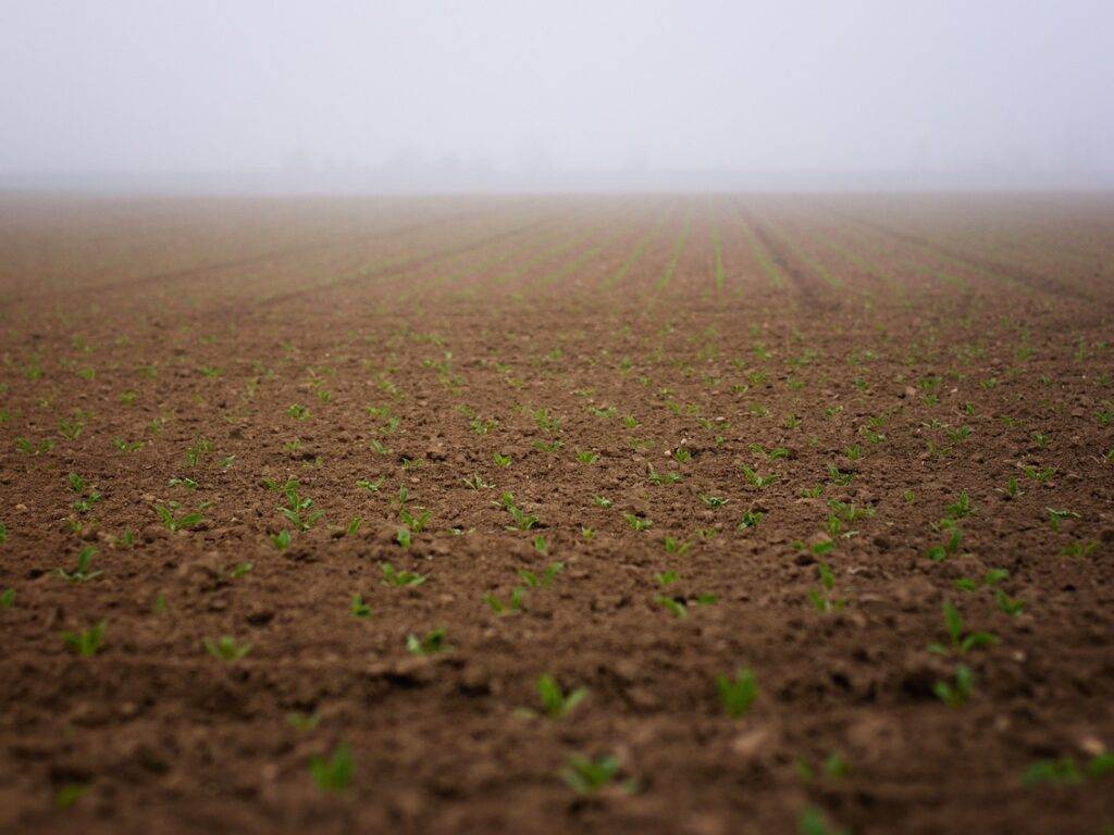 Sowing Part 1 of 2 - Living For Christ Ministries